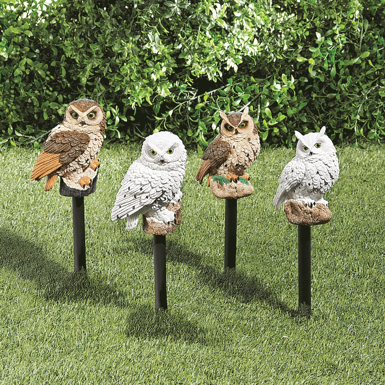 Set of 4 Decorative Solar Owls | Carol Wright