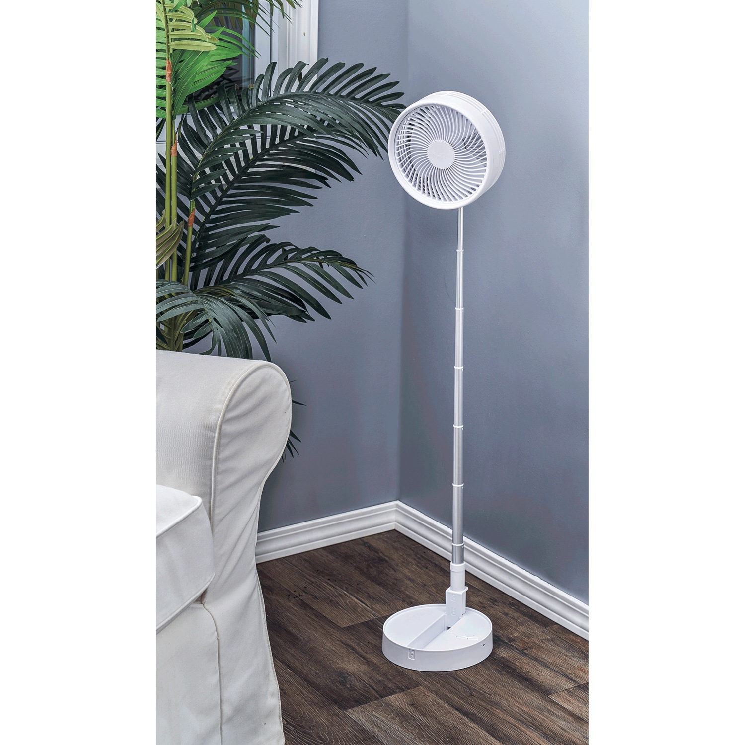 My FoldAway™ Fans | Carol Wright