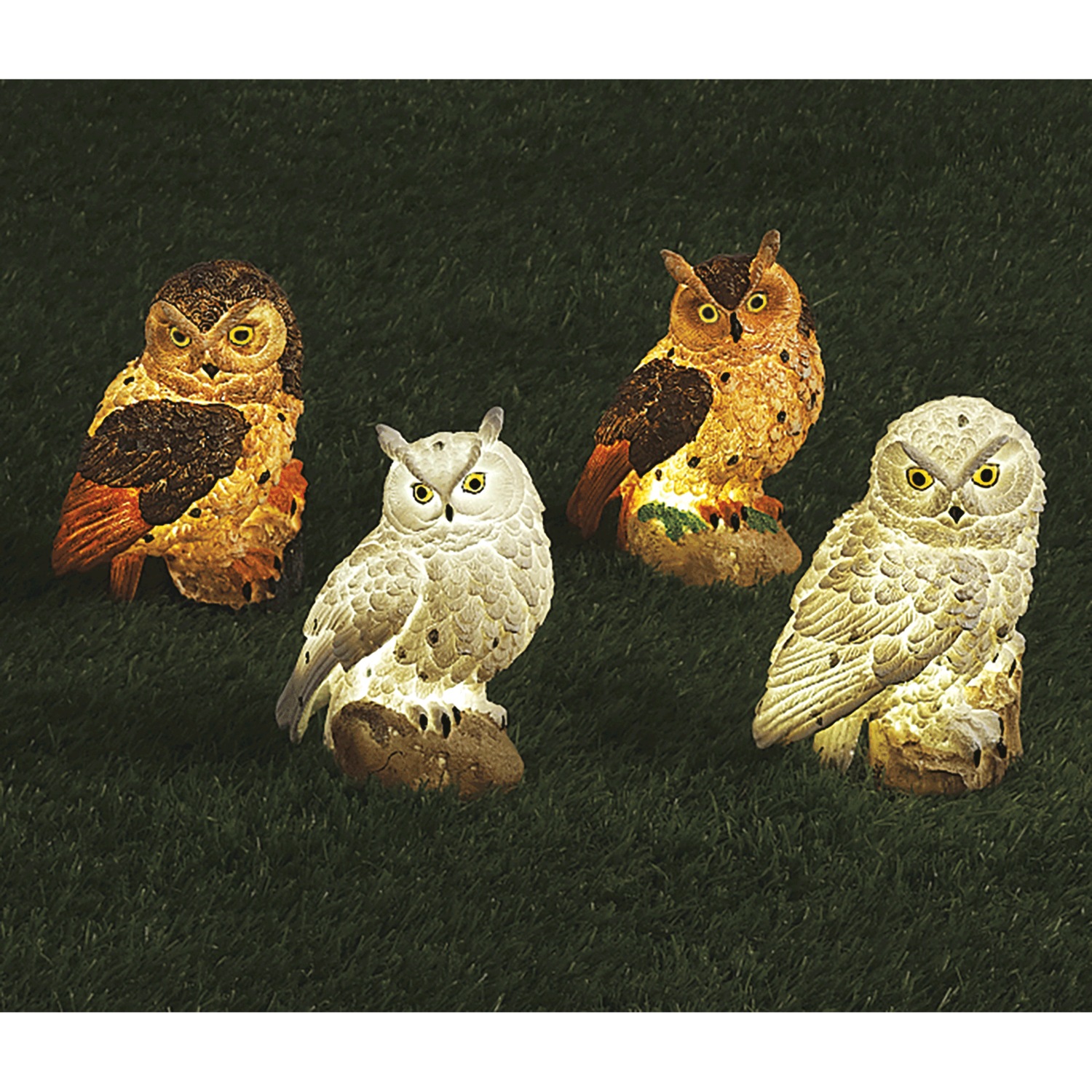 Set of 4 Decorative Solar Owls | Carol Wright