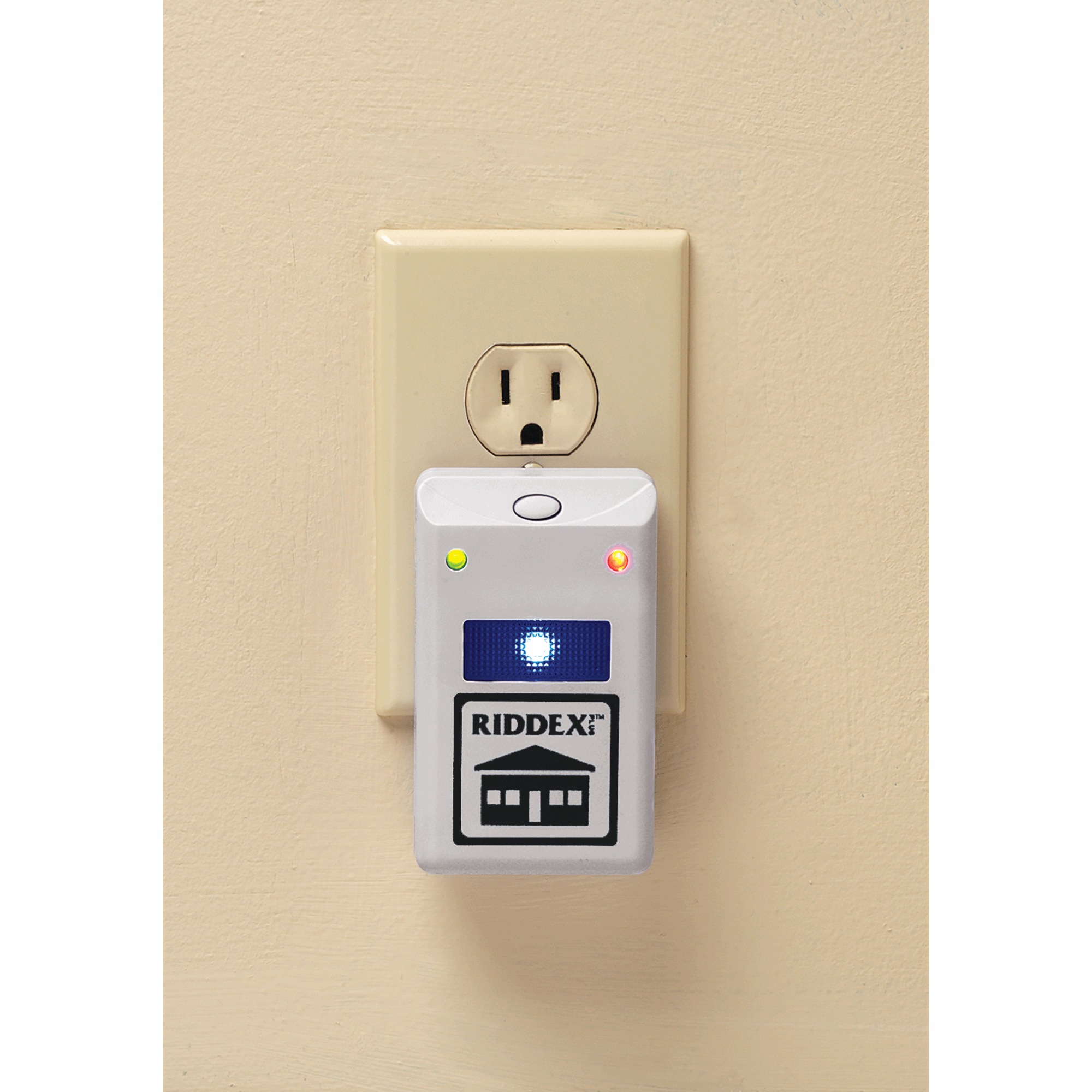 RIDDEX Plus | Carol Wright