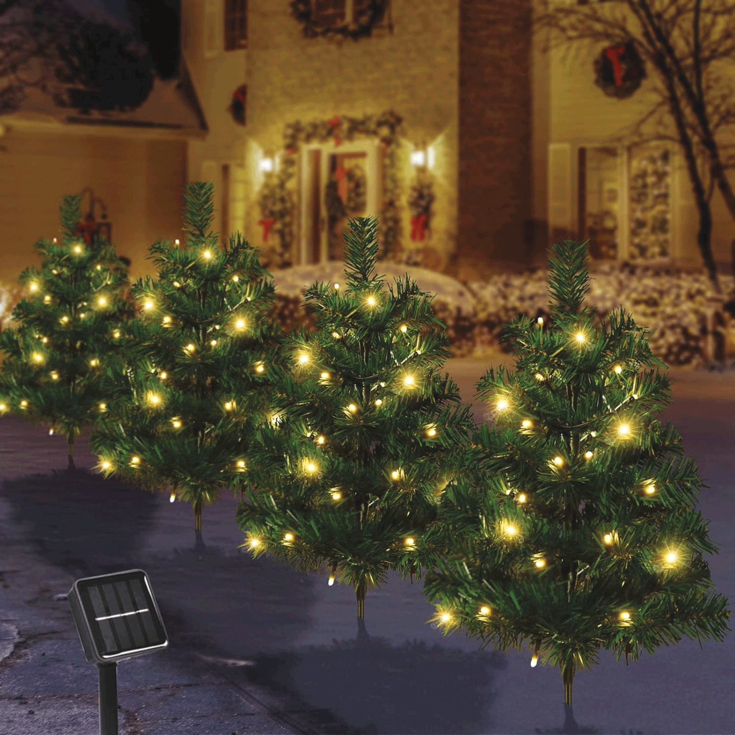 Set of 4 Christmas Trees with Solar Lights | Carol Wright