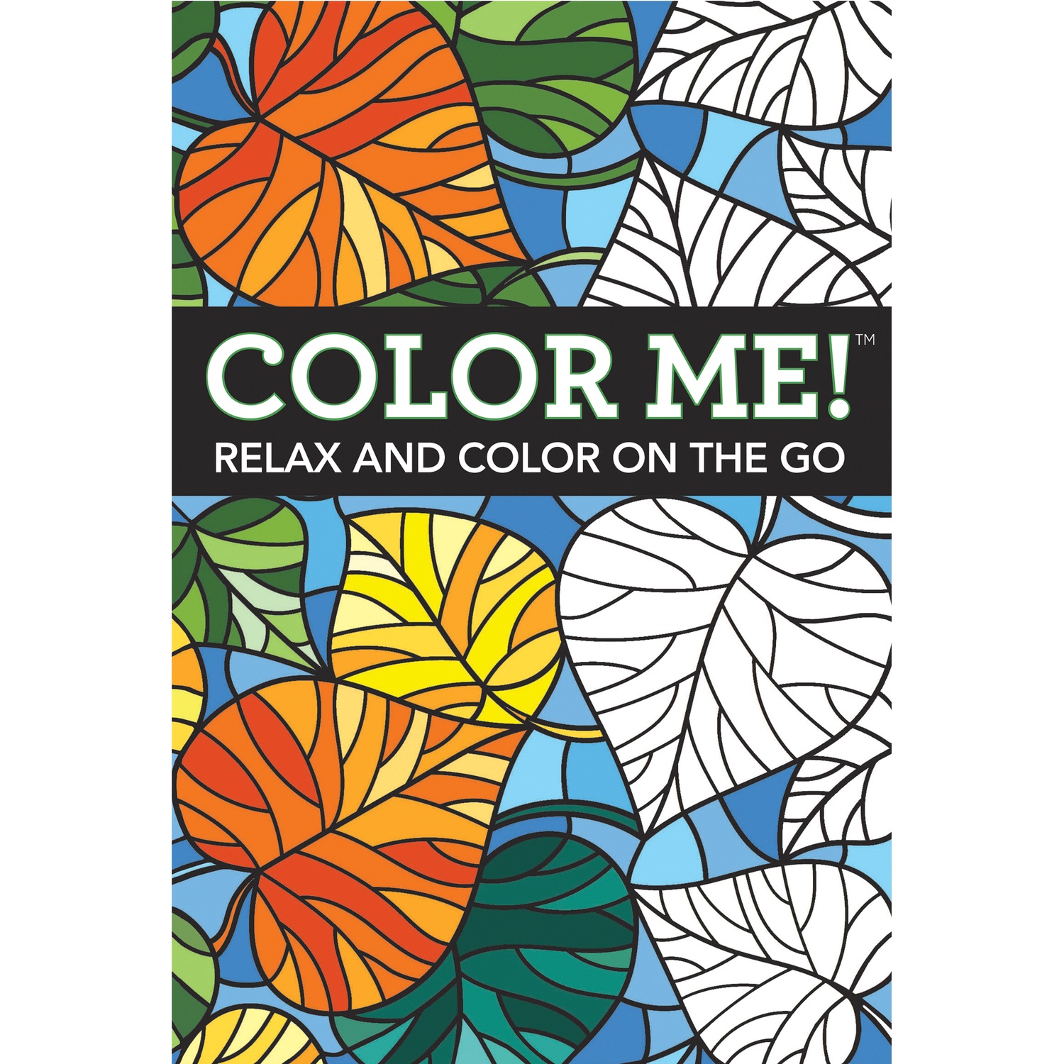 Set of 5 Color Me! Adult Coloring Books | Carol Wright