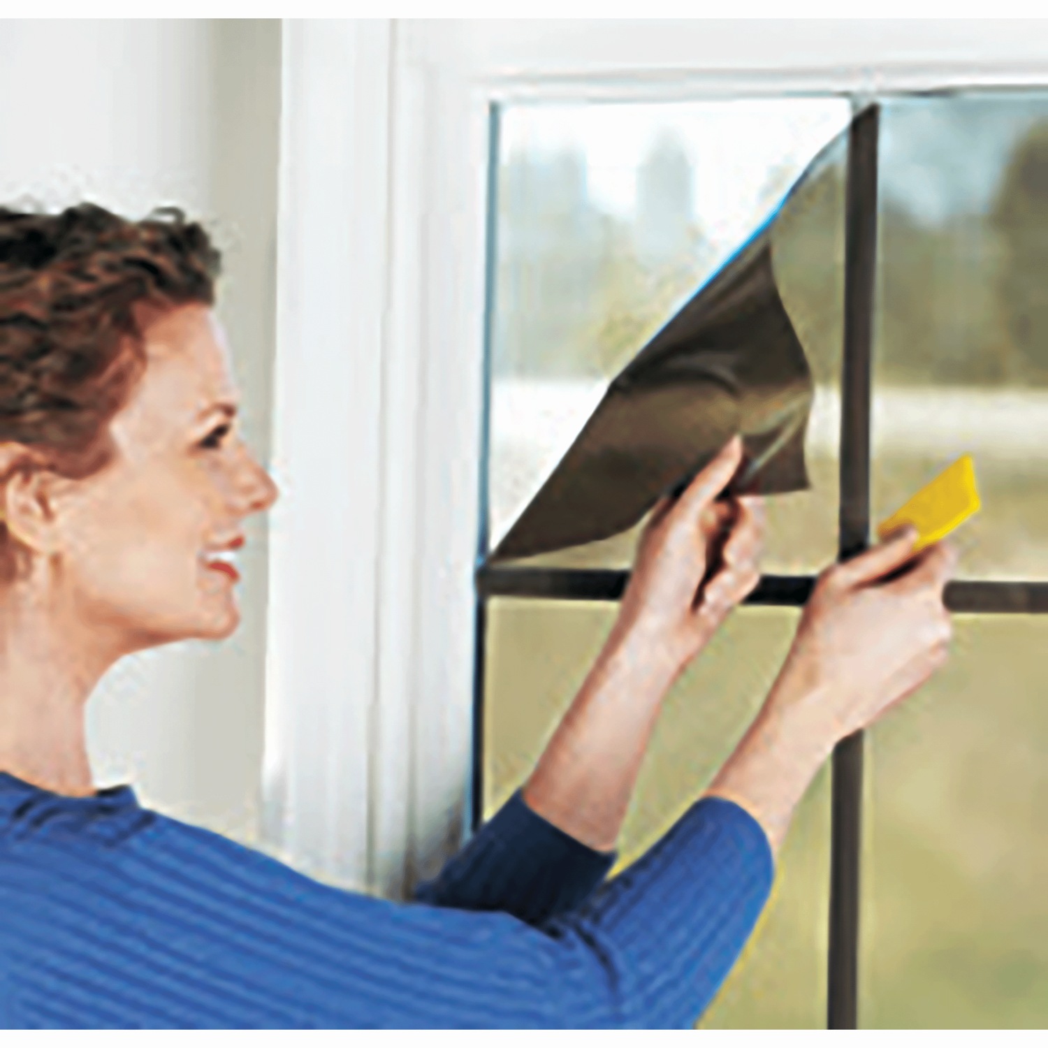 Window Insulator | Carol Wright