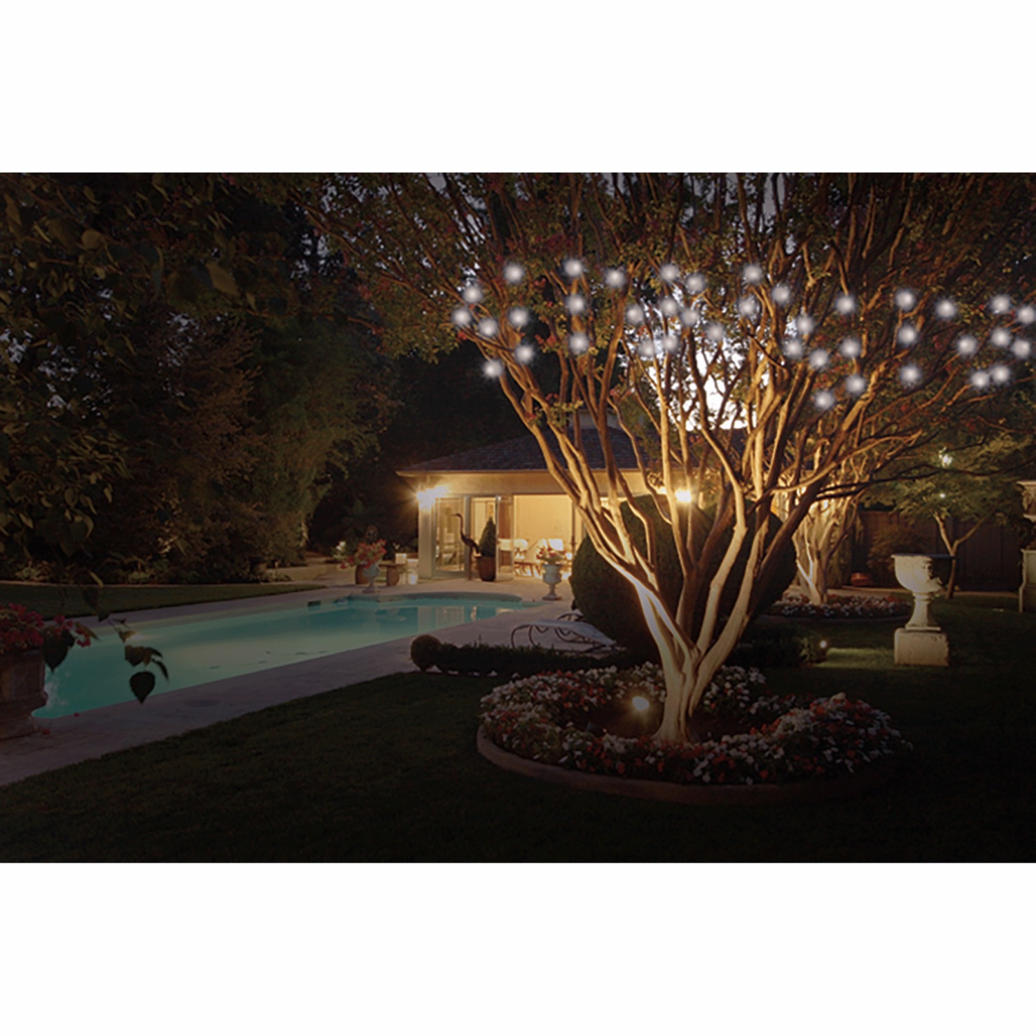 Solar Festive Lights | Carol Wright