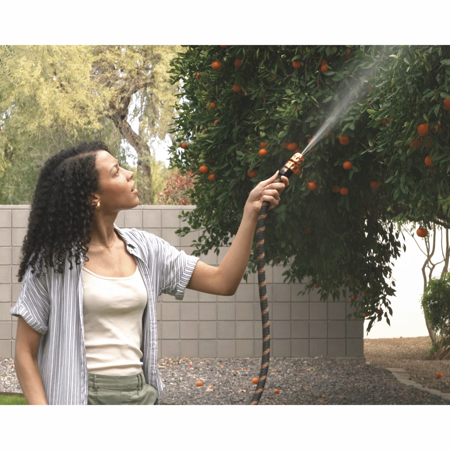 Copper Bullet Expanding 50-Foot Garden Pocket Hose | Carol Wright