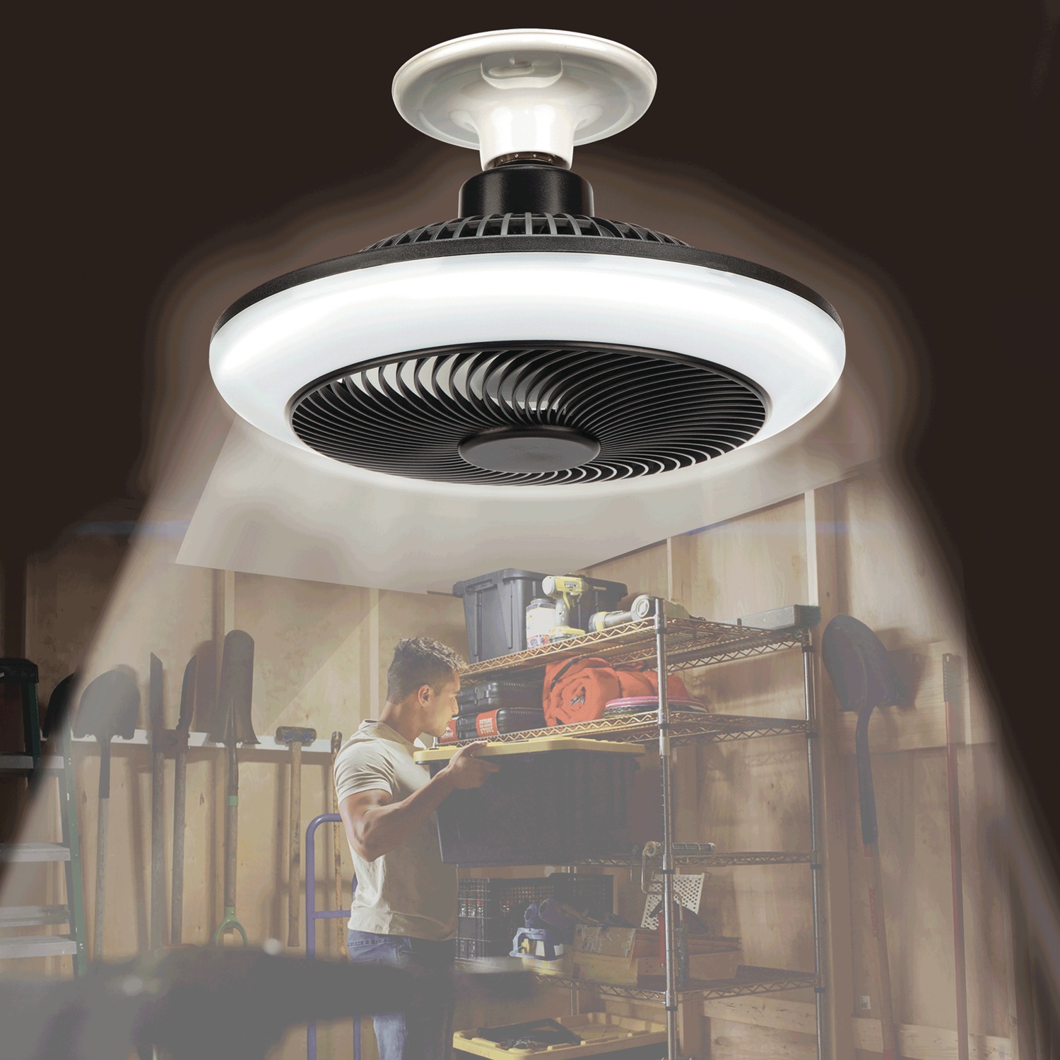 Breeze Brite Light Fan | Carol Wright