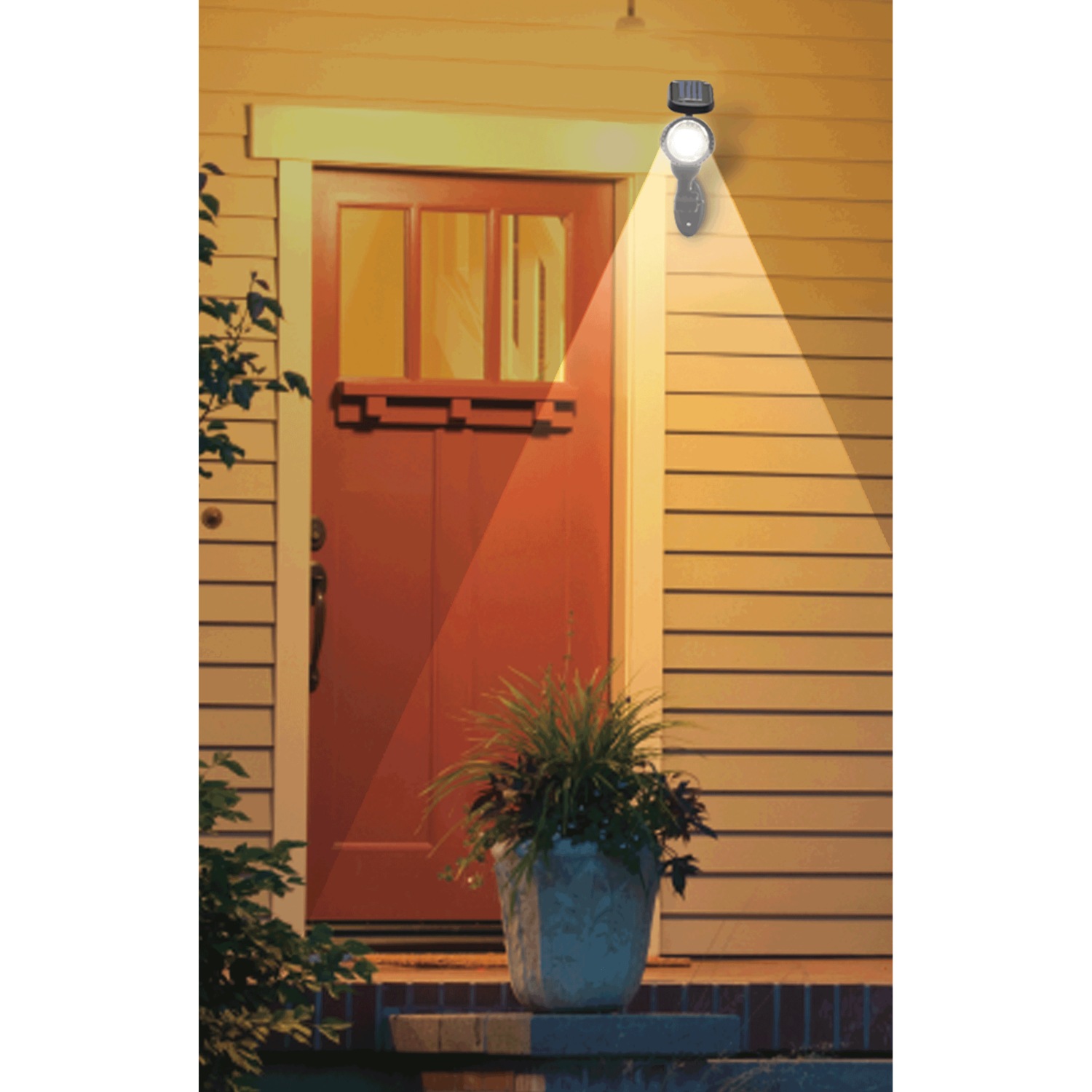 Solar Spotlight | Carol Wright