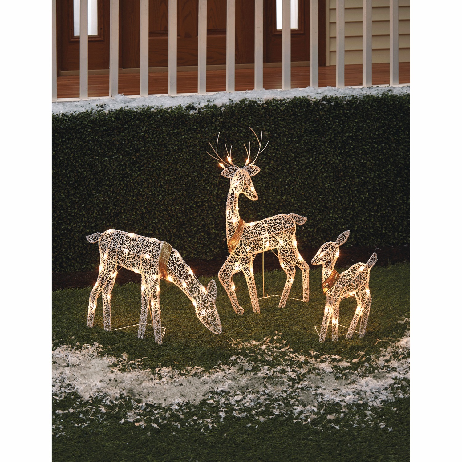 Set of 3 Lighted Deer | Carol Wright